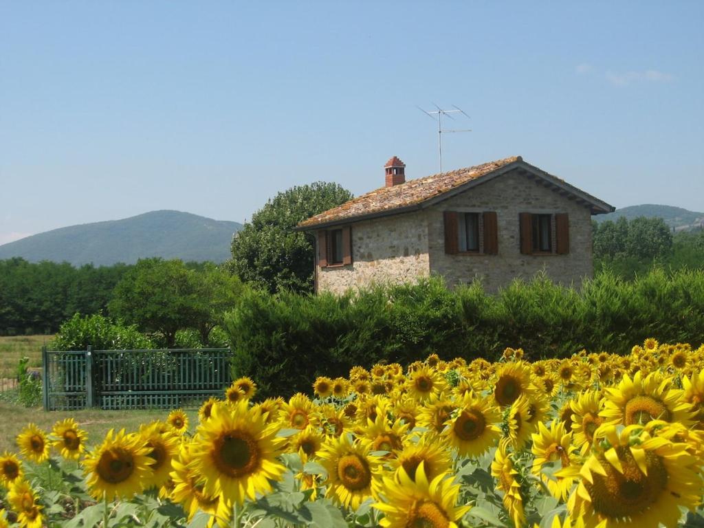 Agriturismo gli Arrighi - Cà di Giulia, Casella (updated prices 2026)