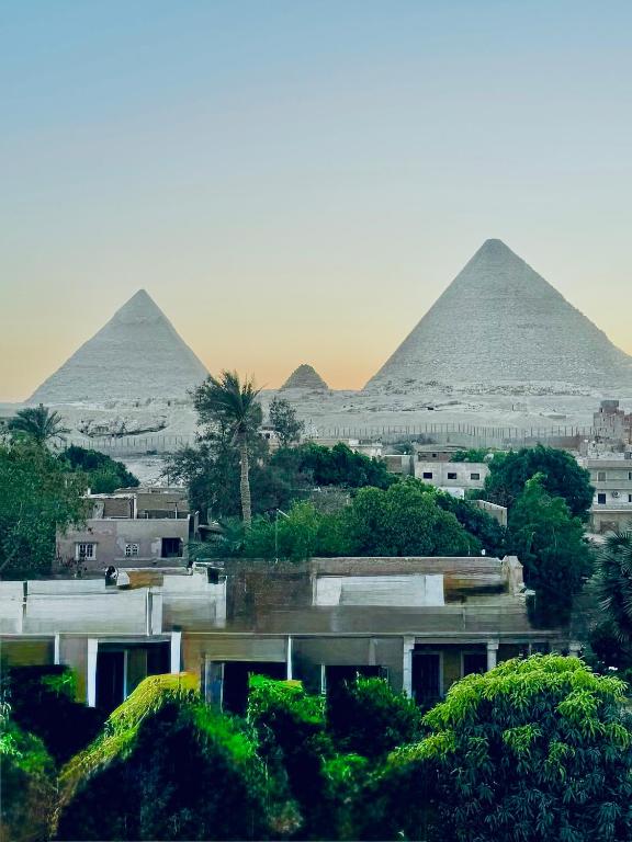 Citadel of pyramids, Cairo (updated prices 2026)
