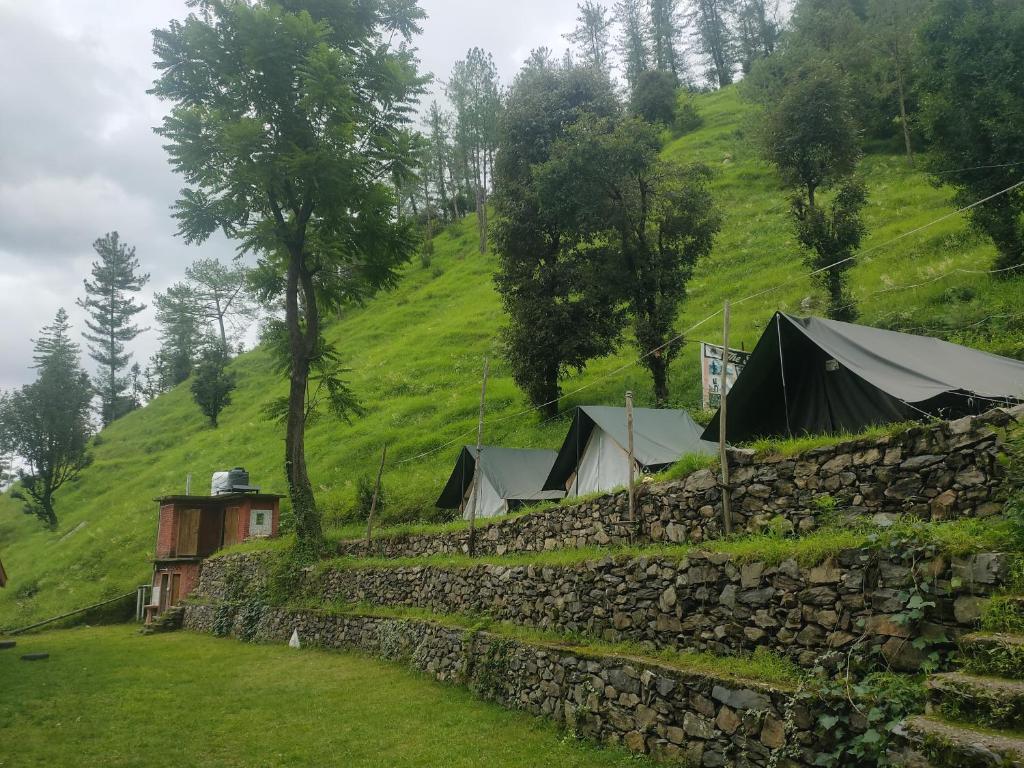 The Shalli Tribe, Shimla (updated prices 2025)