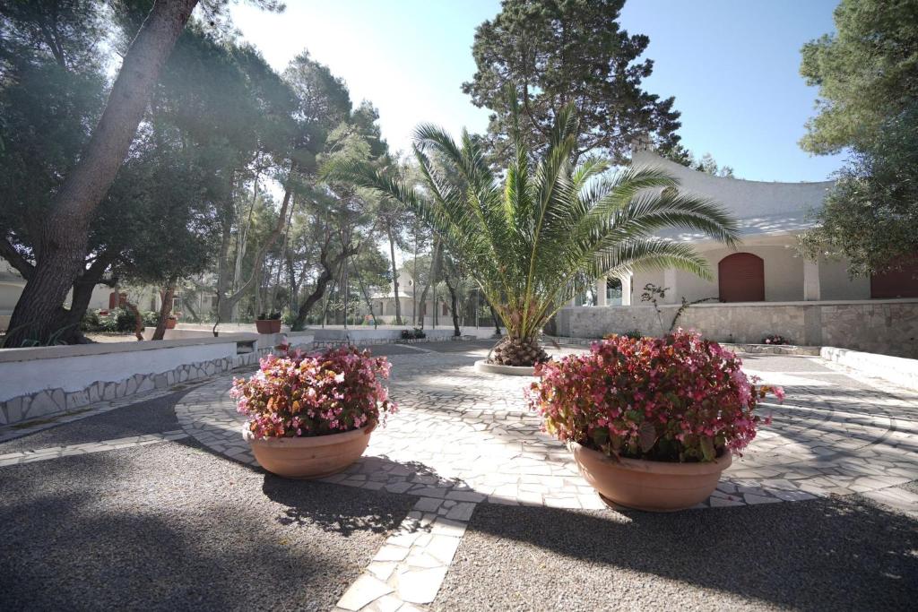 Nadia Village, Torre Ovo (updated prices 2025)