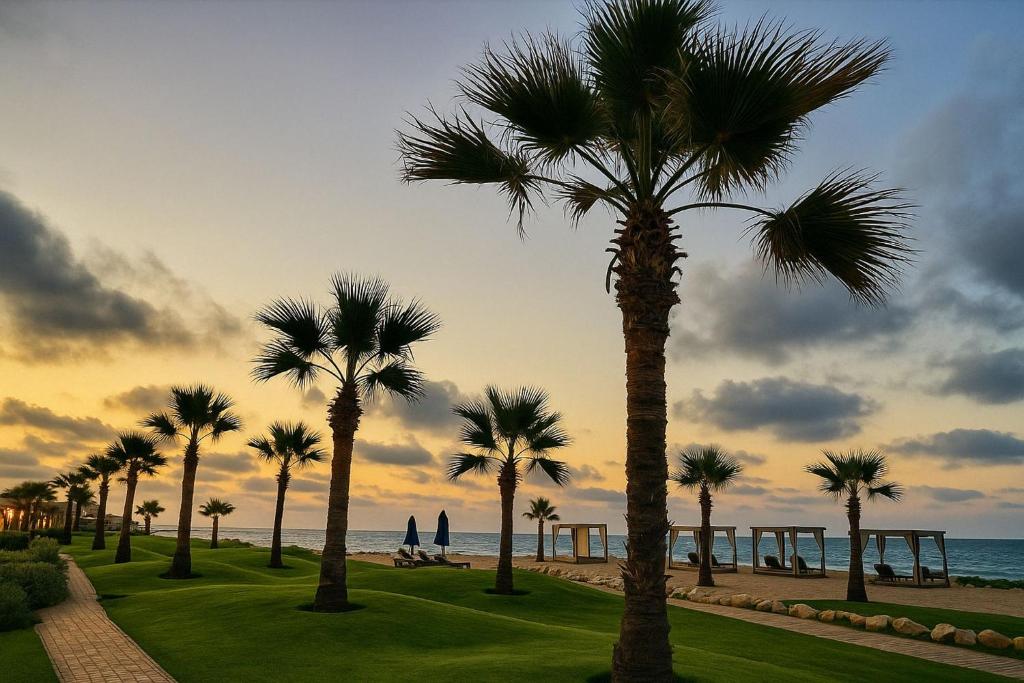 Porto Said Beach Escape, `Ezbet Shalabi el-Rûdi (updated prices 2026)