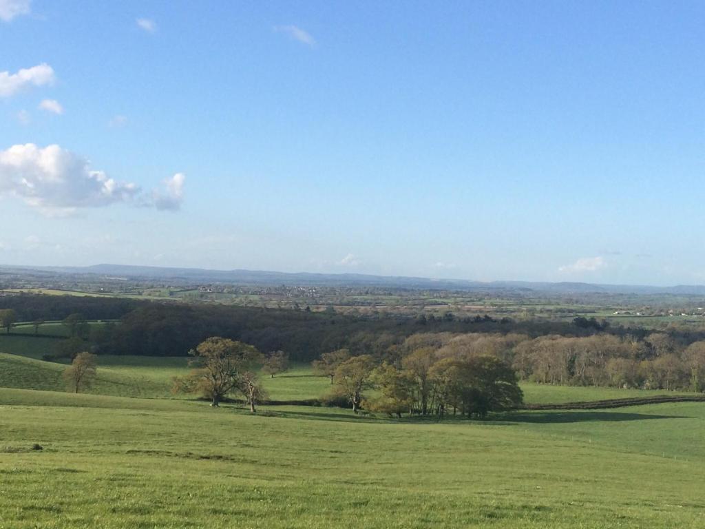 Higher Melcombe Manor, Ansty (updated prices 2025)