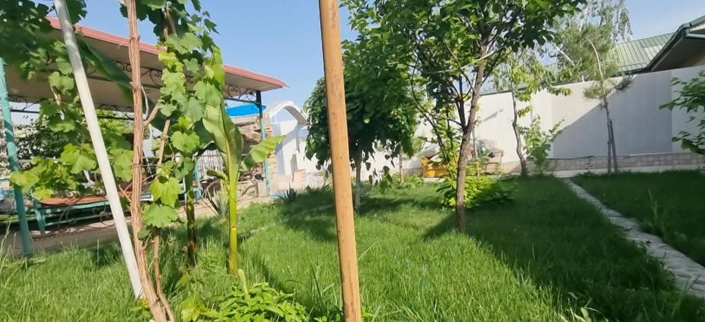 Дом на природе, Guliston (updated prices 2026)