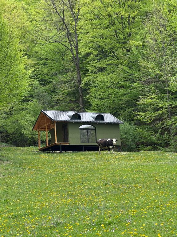 Wolfs Den Lepsa, Lepşa (precios actualizados 2025)