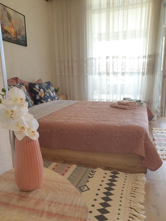 City Apartment Dojran, Star Dojran (updated prices 2025)