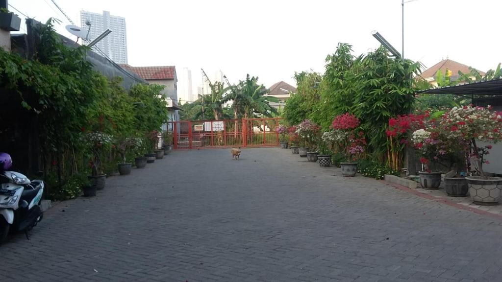 Taman Paradise Homestay, Surabaya (updated prices 2026)