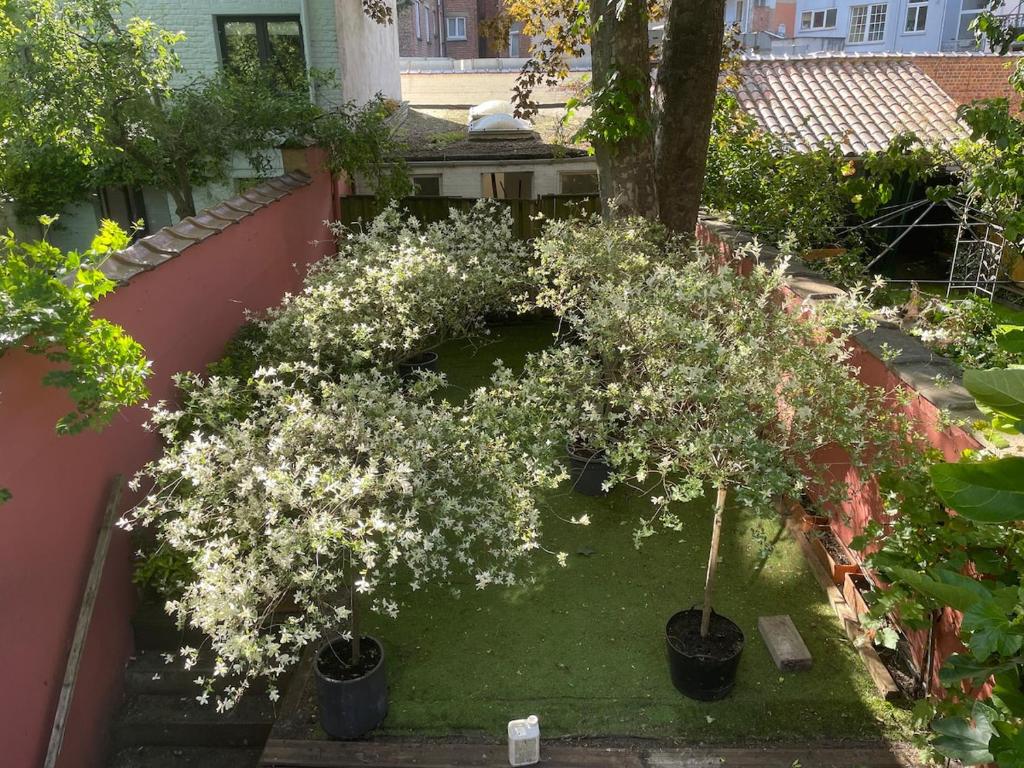 Le Flagey green place, Brussels (updated prices 2026)