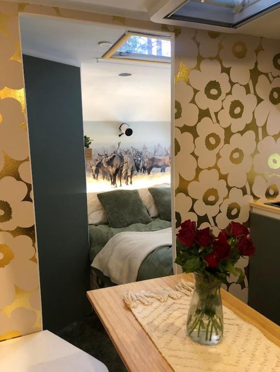 Santa Village northern lights box, Rovaniemi (updated prices 2025)