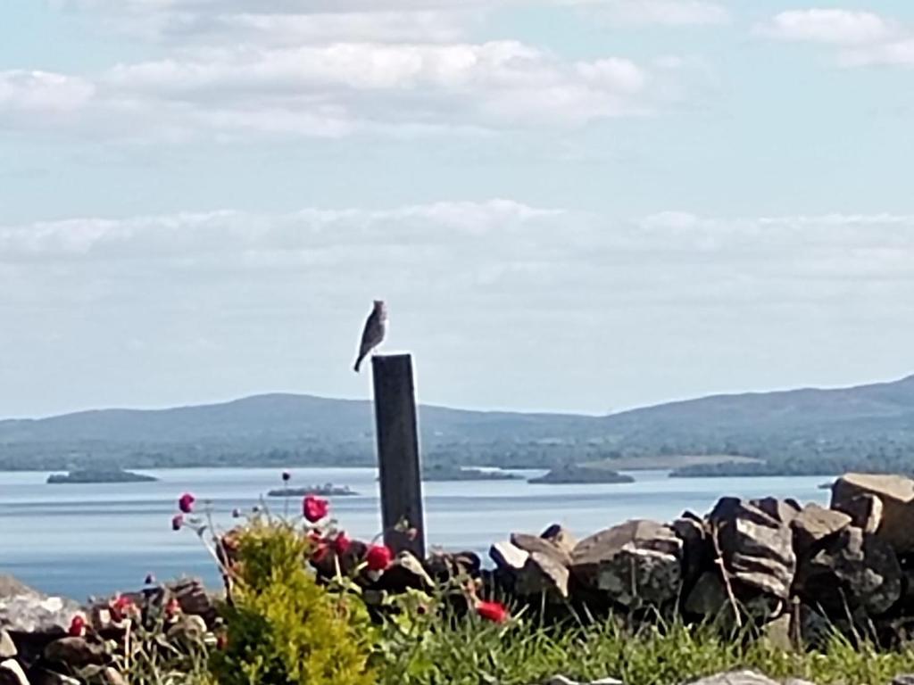 Corrib view cabin, Clonbur (updated prices 2026)