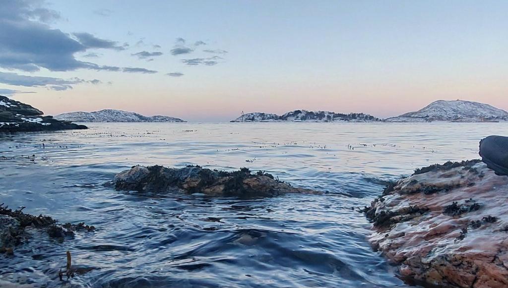 Senja Beach Lodge, Senja (updated prices 2025)