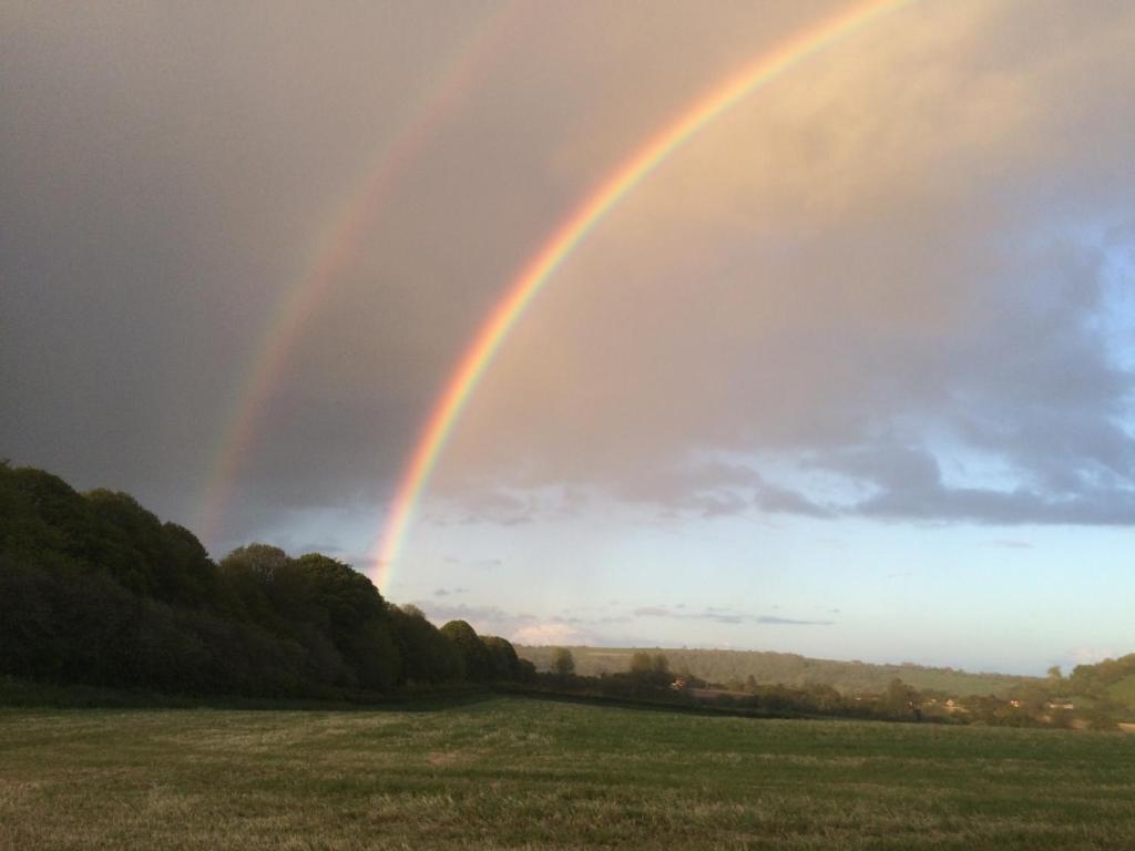 Higher Melcombe Manor, Ansty (updated prices 2025)