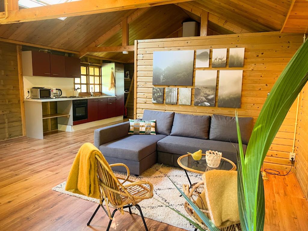 Lodge De ijsvogel bij Bolmeer Lodges, Zevenhuizen (updated prices 2026)