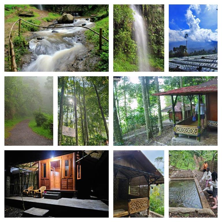 Rasamala Camp, Pengalengan (updated prices 2025)