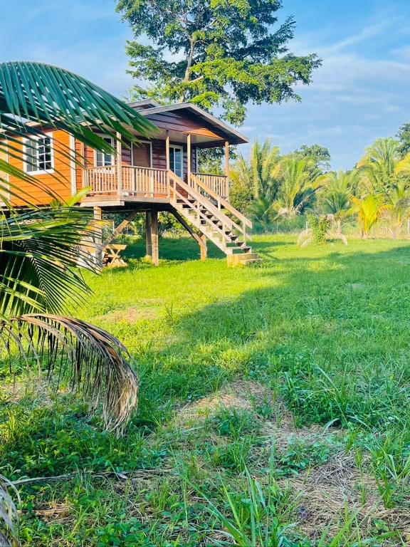 Palms & Paradise, Machaca Camp (updated prices 2025)
