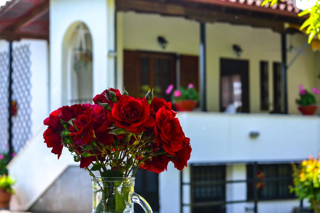 Ianthi House, Néa Thésis (updated prices 2026)