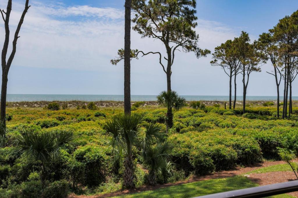 171 Seaside Villas, Hilton Head Island (updated prices 2025)