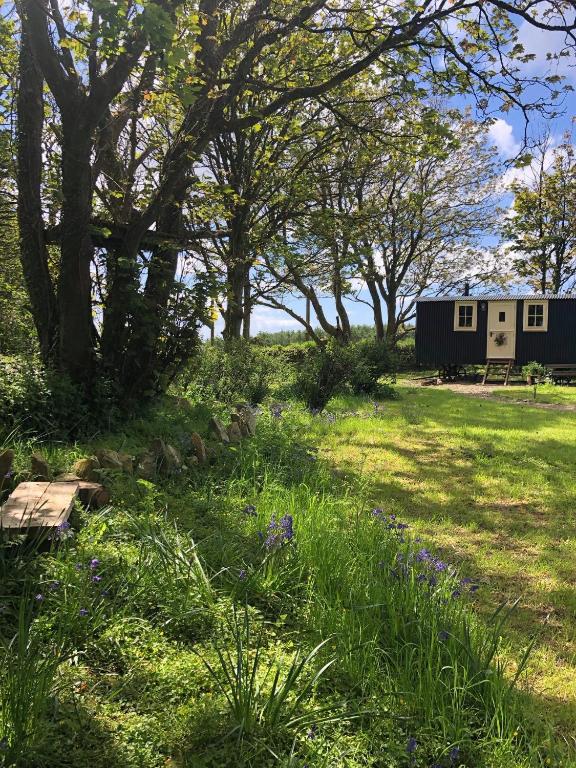 Ty Bach Glas, Llanhowell (updated prices 2025)