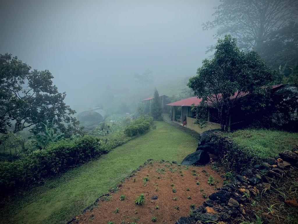 Royal Mountain Edge ,Knuckles, Rangala (precios actualizados 2025)