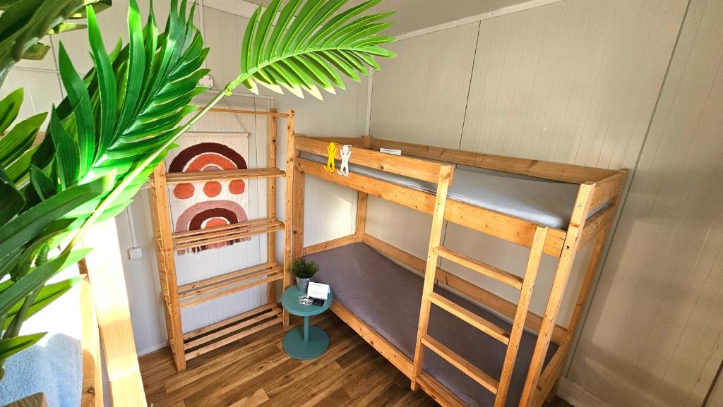 Malayka, Chałupy (updated prices 2026)