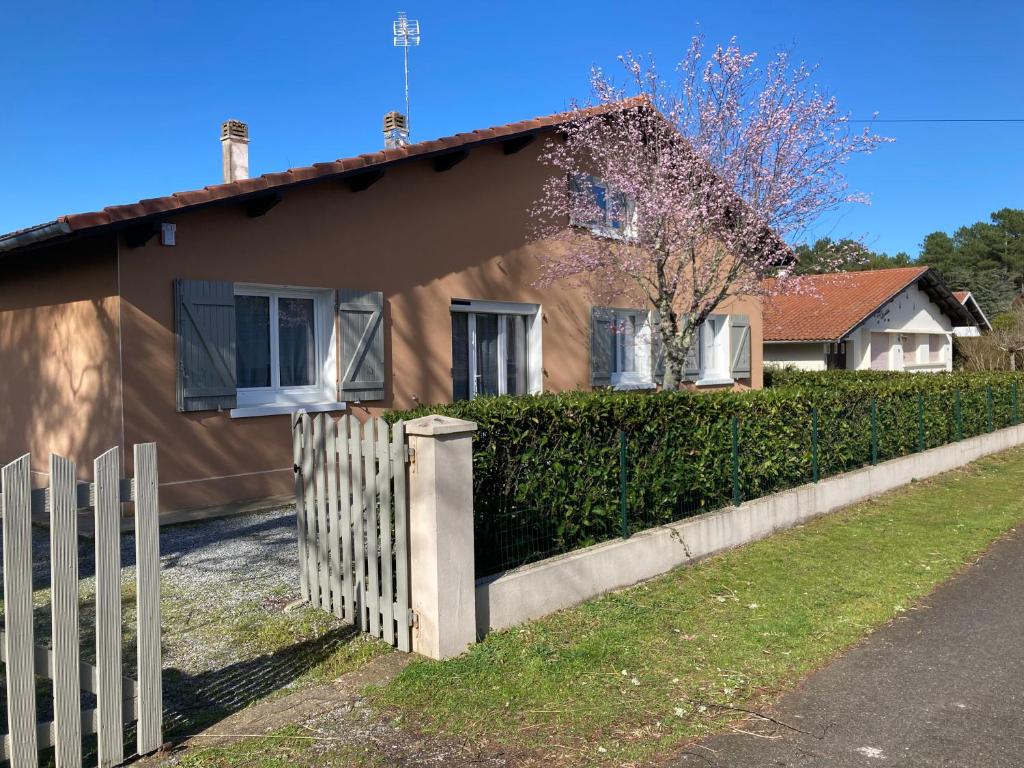 A CasA, Linxe (precios actualizados 2026)