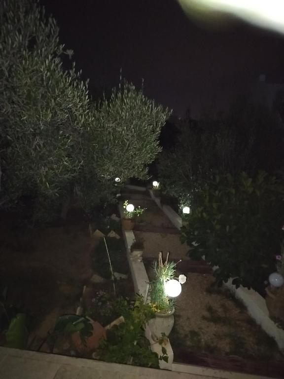 Siwar, Taguermess (precios actualizados 2025)