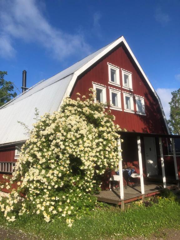 Close to nature in cozy old mill, Timmersdala (preços atualizados para ...