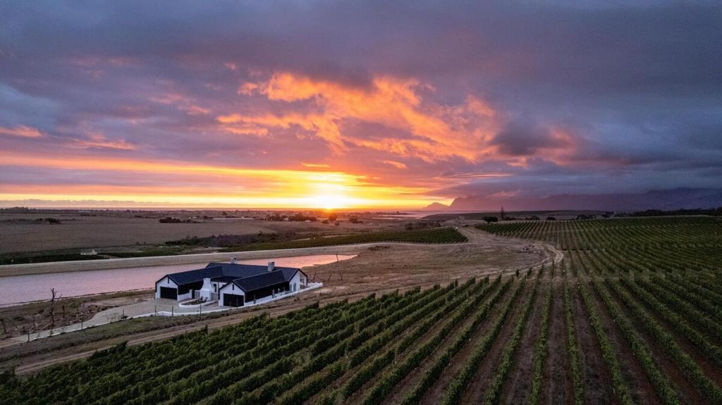 Hermanus - Escape Wines - House on Wine & Protea farm, Lake Marina ...