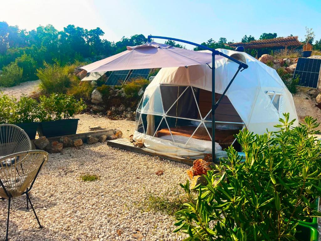 Glamp Rose, Rose (updated prices 2025)