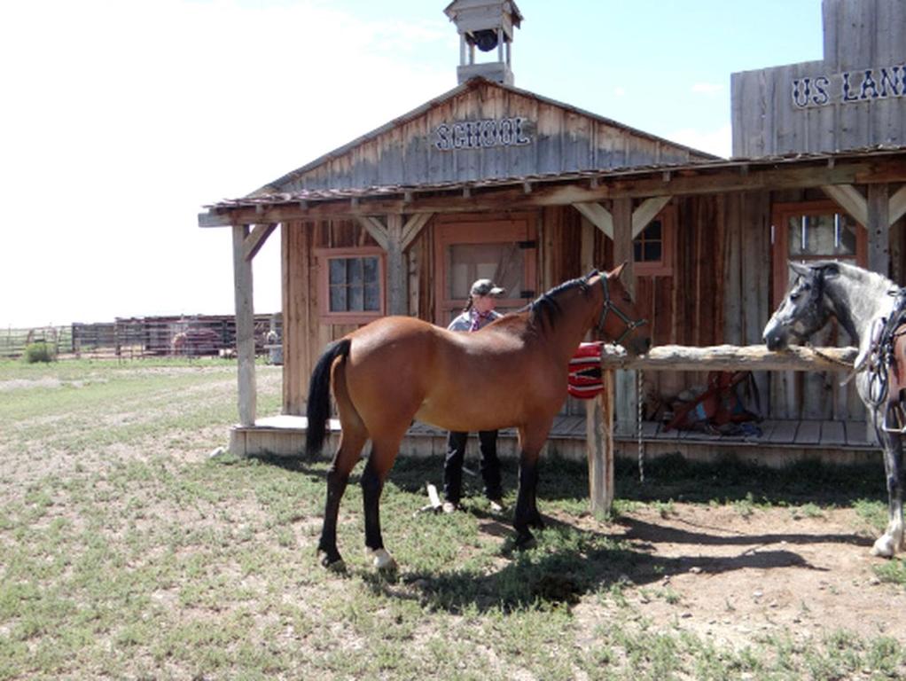 Homey Cabin Rental Perfect for an Outdoor Experience near the Rockies ...