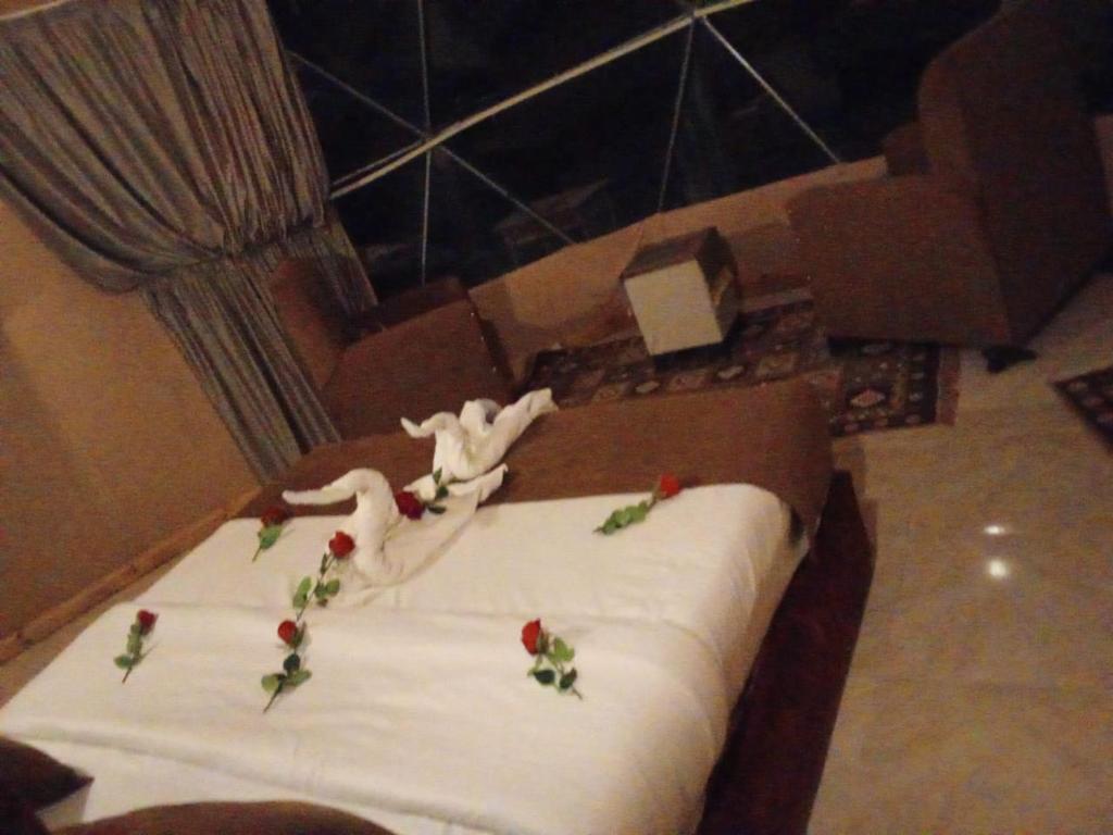 Wasan Camp Wadi Rum, Wadi Rum (updated prices 2026)