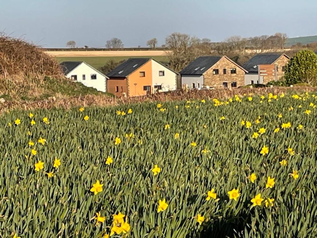 Retallack hot tub lodge - 4 ensuites - luxury stay, Saint Columb Major ...