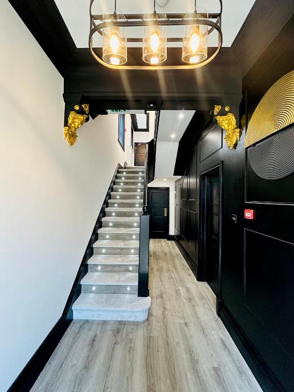 Fun House Interiors