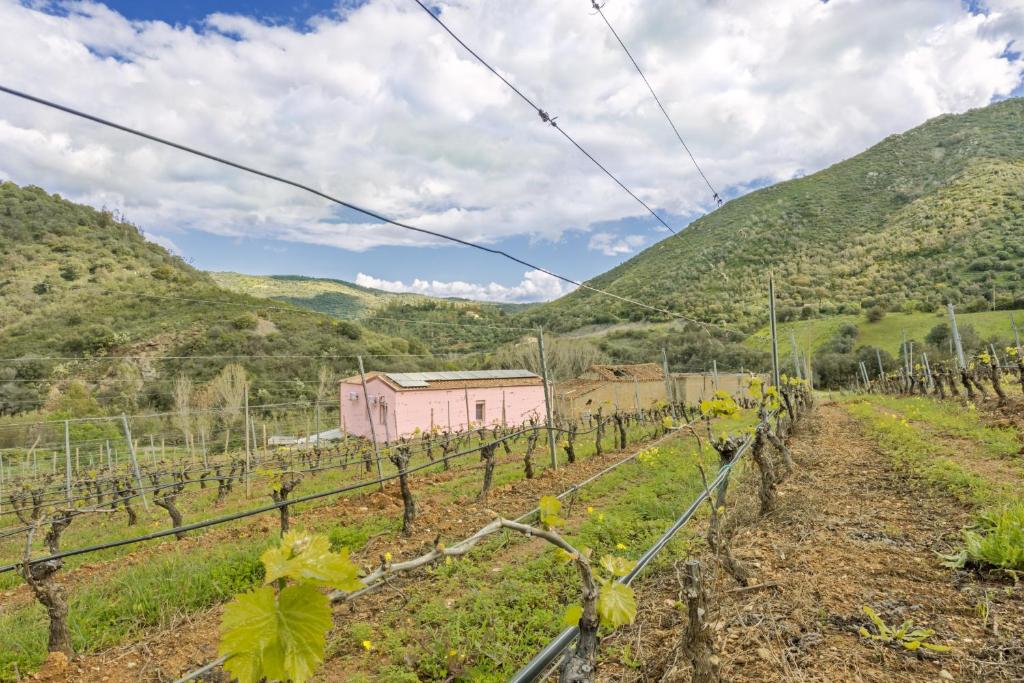 Podere Is Tres Fradis, Jerzu (prețuri actualizate 2025)