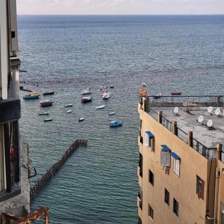 Al Safwa Tower, Alexandria (updated prices 2026)