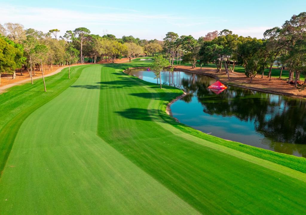 Innisbrook Resort, Palm Harbor (updated prices 2025)