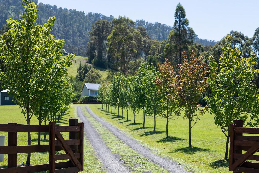 Ferdous - A Peaceful Hideaway, Valle Kangaroo (precios actualizados al ...