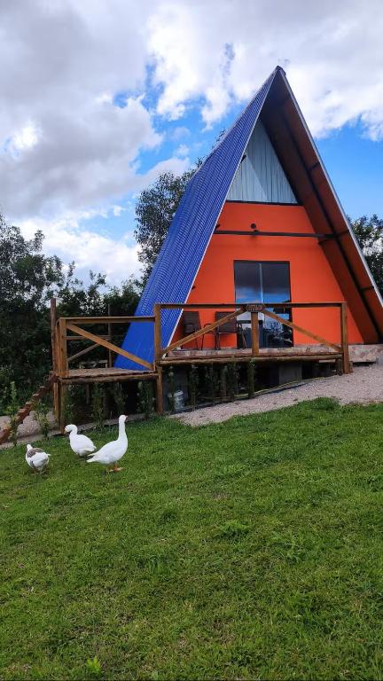 Sítio Eco-Betel Chalé Pitanga, São José dos Pinhais (preços atualizados ...