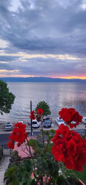 Villa DANIEL Pestani, Peštani (updated prices 2025)