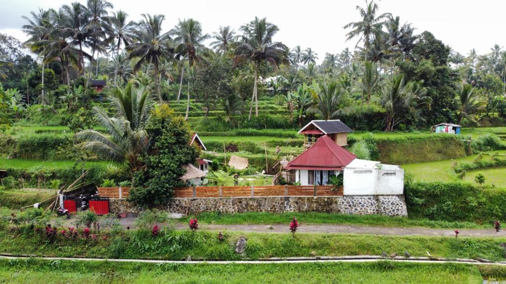 kunang kunang, Tetebatu (aktualisierte Preise für 2025)