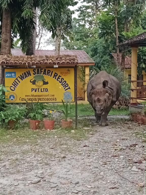 Chitwan Safari Resort, Sauraha (precios actualizados 2026)