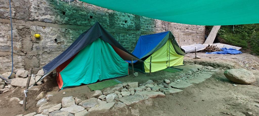 Alooma Cafe and Homestay, Bashist (updated prices 2025)