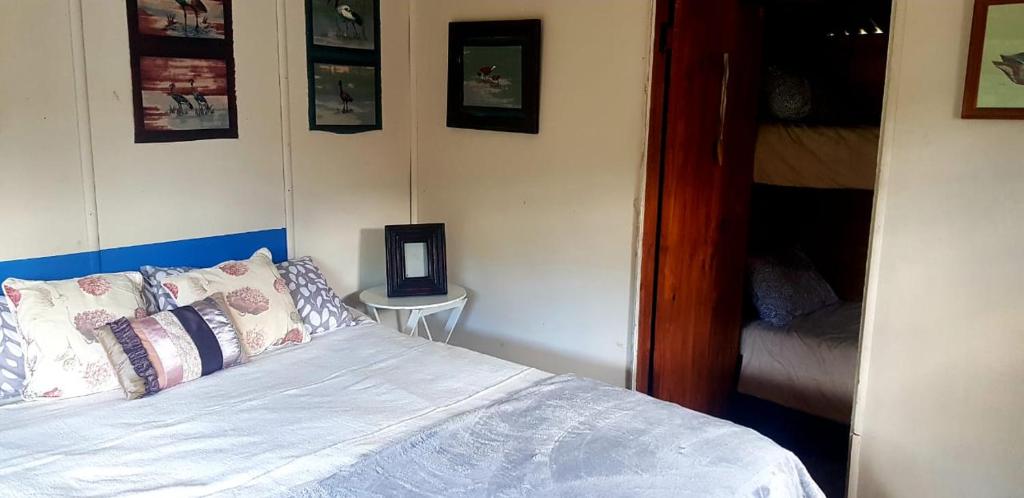 Island Cabin at Drakensberg International Backpackers, Mpofane (updated ...