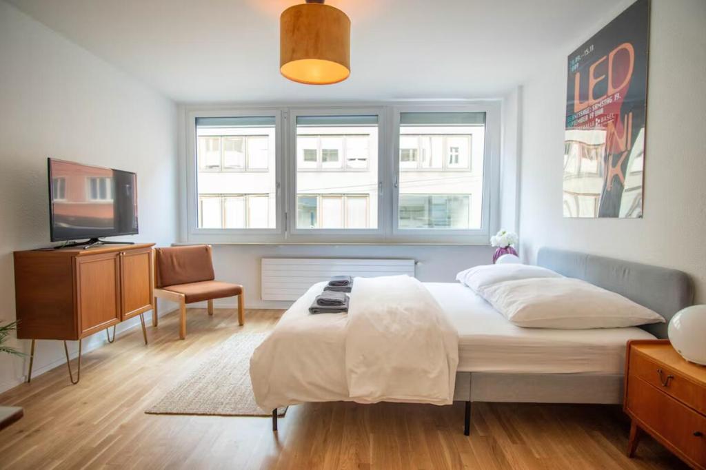 Central Studio Apartment with free BaselCard - Magritte, Basel (updated ...