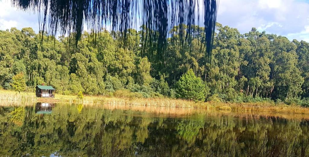 Wild Hunters Cabin at Drakensberg International Backpackers, Mpofane ...