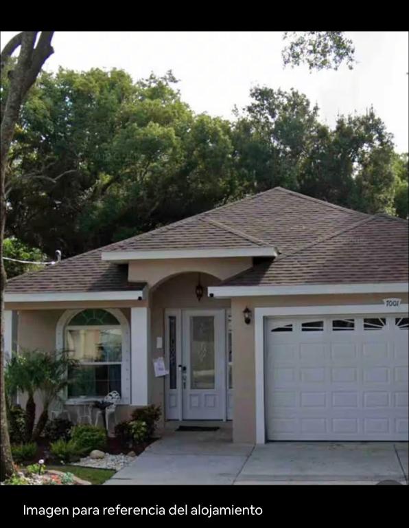 Jeli Suite, Tampa (updated prices 2025)