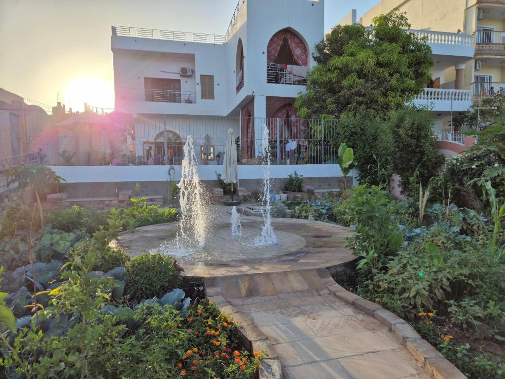 Nile House Anis & Do, Luxor (updated prices 2026)