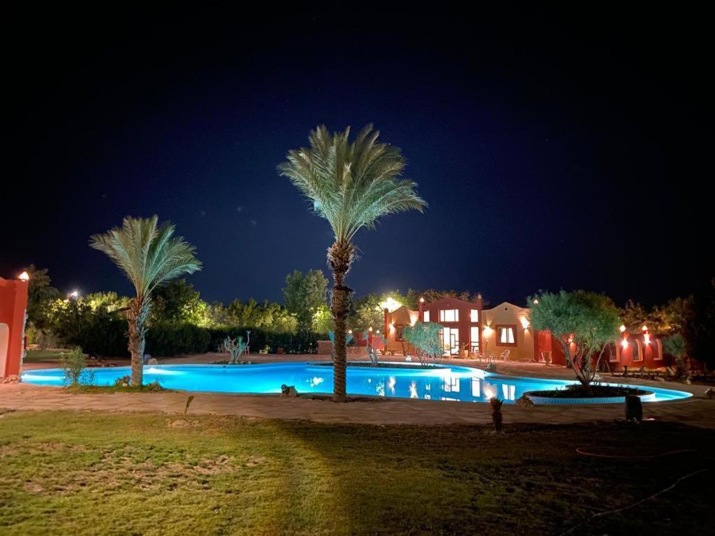 Sokoon, Aţ Ţabarānī (updated prices 2025)