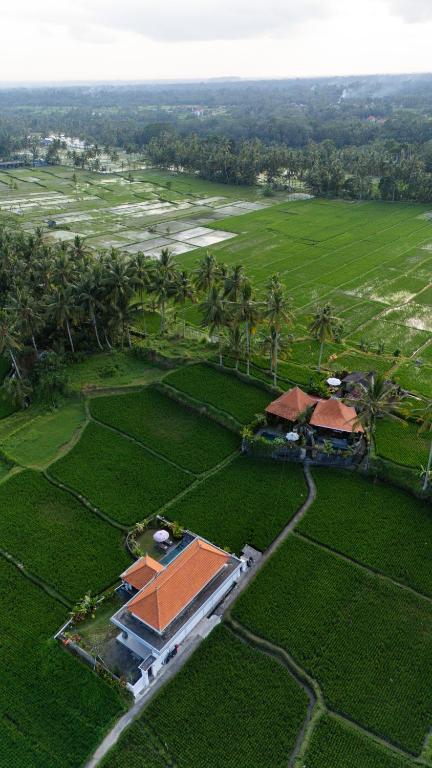 Kubu Cinta Ubud, Ubud (updated prices 2026)