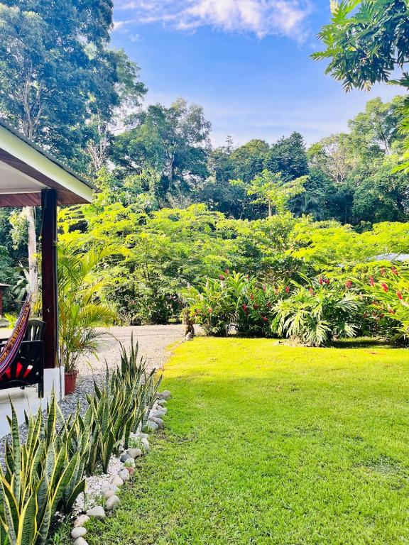 Kays Jungle beach House, Manzanillo (updated prices 2025)