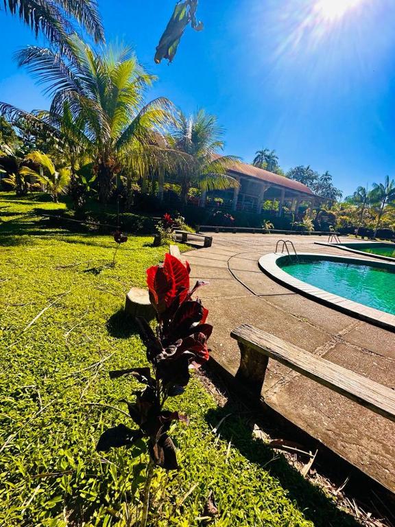 Centro Ecológico Yacumama, Puerto Maldonado (updated prices 2025)